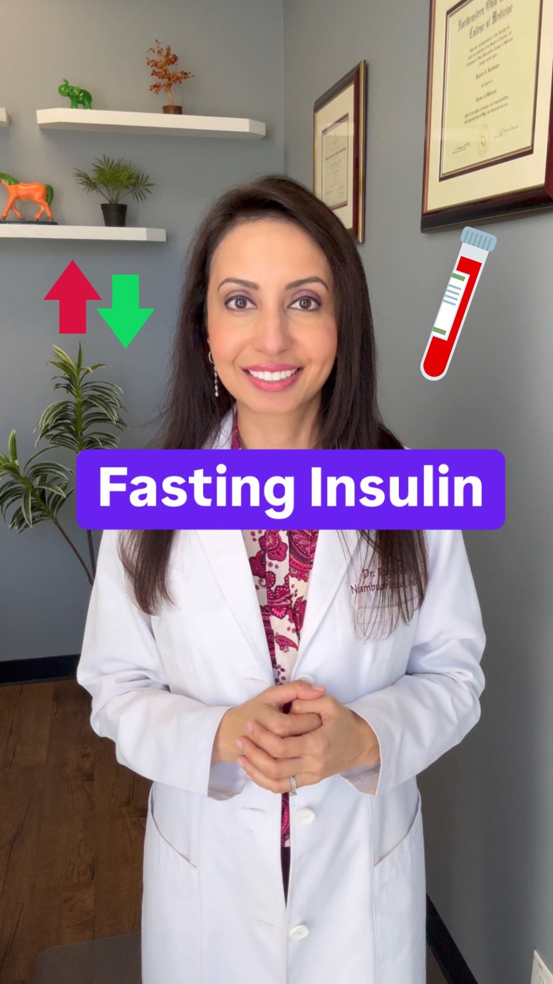 Insulin Resistance and Metabolic Flexibility – Supplements by Dr. Rajsree