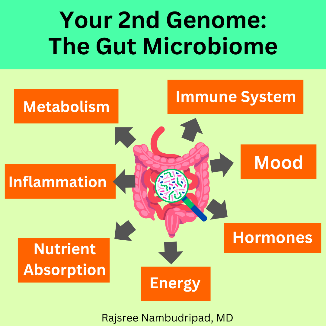 The Microbiome's Role in Disease: Unraveling Dysbiosis – Supplements by ...